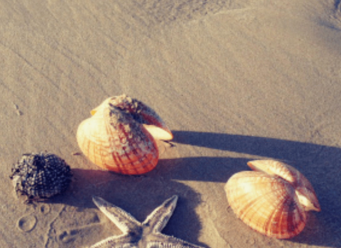 Al Rams Beach - Visit Ras Al Khaimah